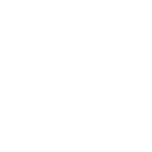 Institute for Studies on Diabetes Foundation Inc.